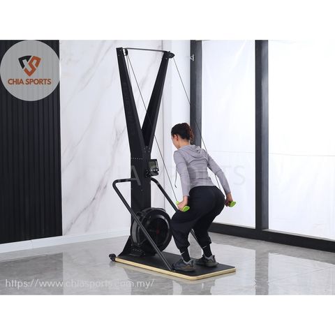 PROMO!!! Ski Machine SkiErg Low Impact Cardio Machines Elliptical Cross ...