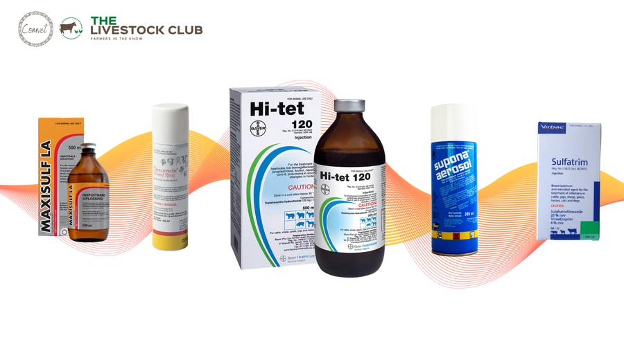 ComVet Animal Health