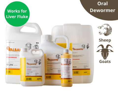 ComVet Animal Health