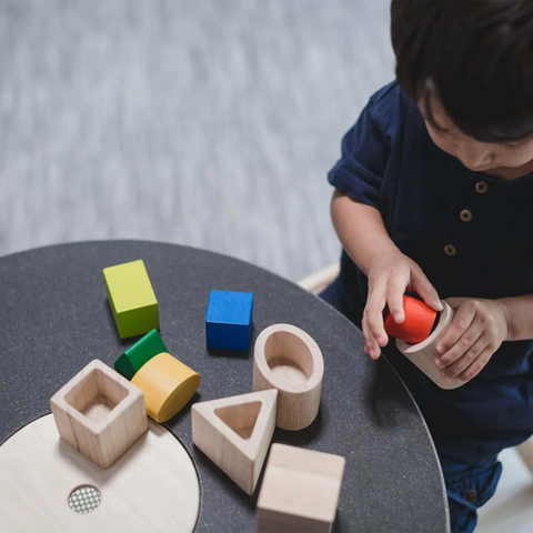 PLANTOYS GEO MATCHING BLOCKS – The Do Good Baby Company