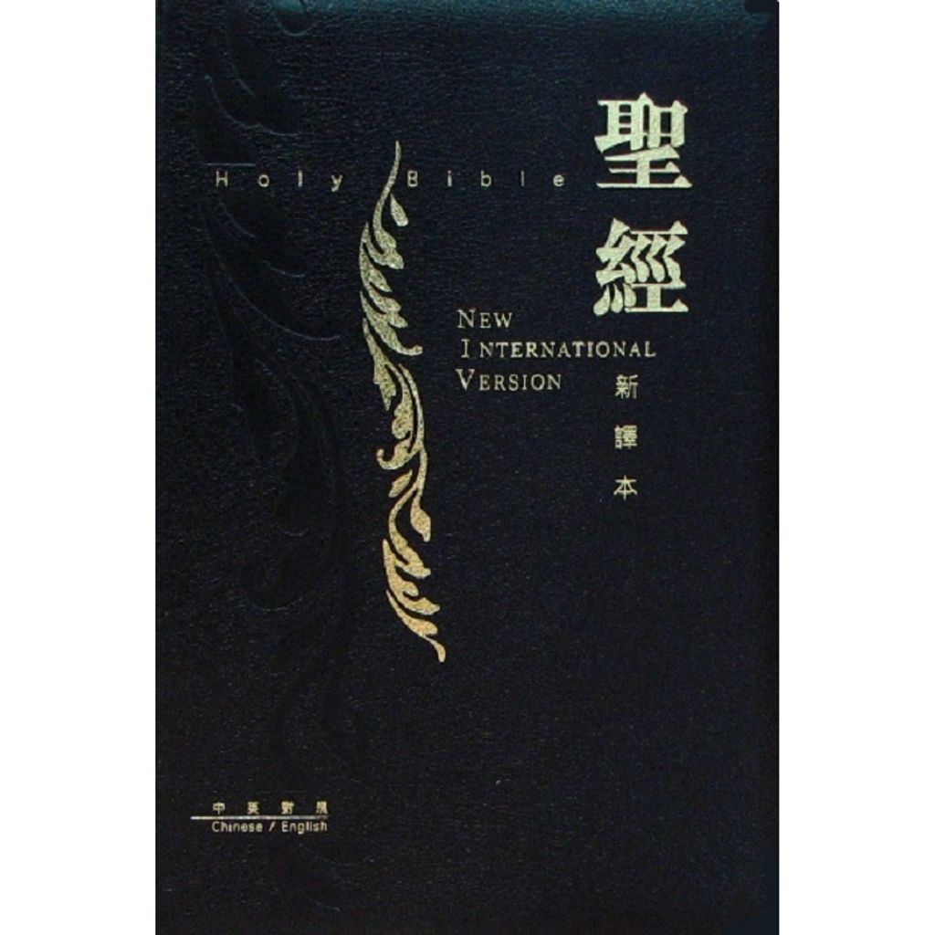 圣经新译本／NIV．标准装．黑色俪皮金边 / CNV/NIV, Black PU Cover, Golden Edge – Behold Treasures Resources 仰望书坊