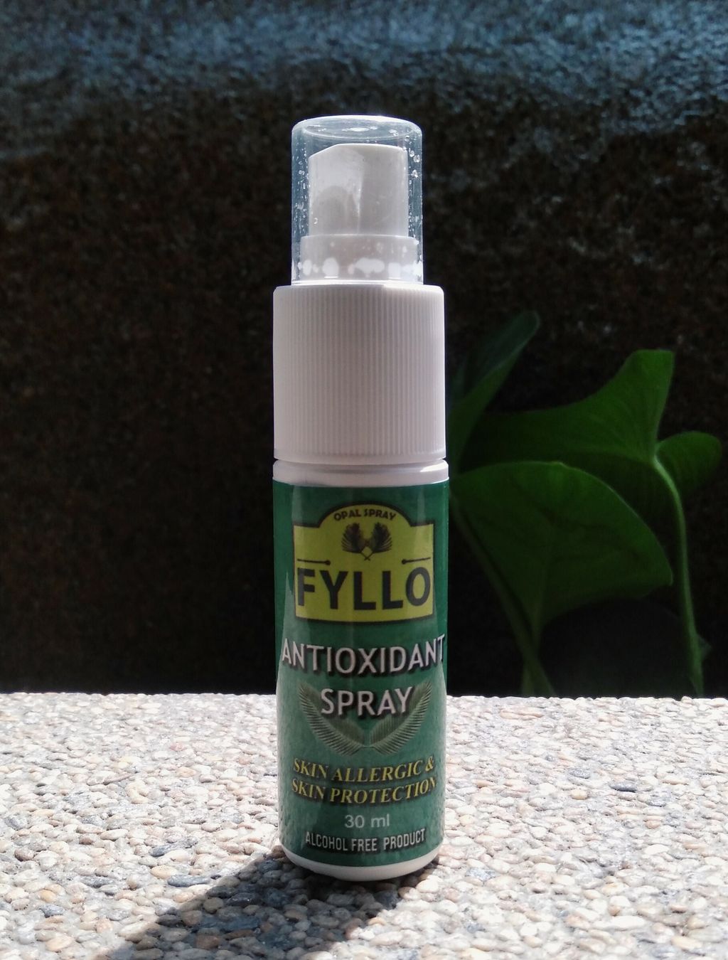 Fyllo Antioxidant Spray – FylloCare