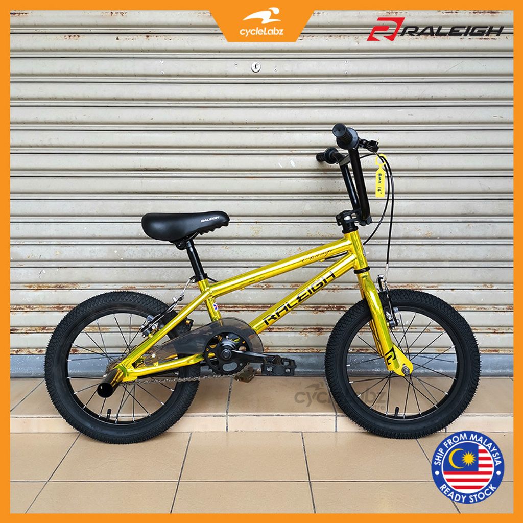 Raleigh Champ BMX Bike 16" Limited Edition for Kids NEW 2022 ...