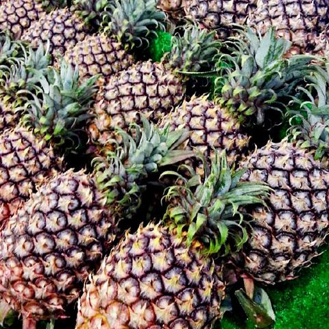 LOCAL FRUITS – FruitLab Delivery