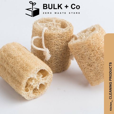 Round Loofah – Bulkandco Zws