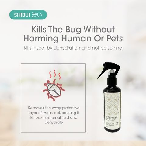 Shibui Essential Insect Spray 200ml – SOOKIES Official Store