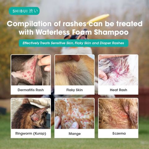 Shibui Pet Starter Kit – SOOKIES Official Store