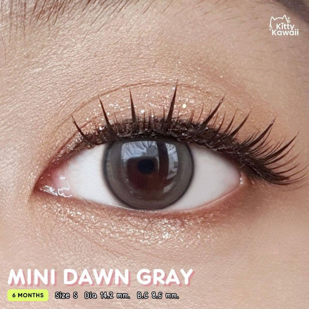 MINI DAWN Gray Power 0~1000 Contact Lens 14.5mm – Sweety Contact lens