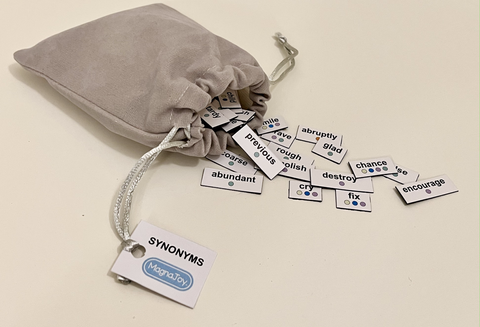 *Add-On* Word Kit: Synonyms (100 Words) – PivotPlay