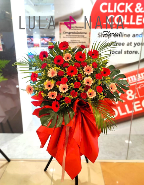 Daisy Carnation Business Opening Flower Stand @ Fresh Flower – Lulanana ...