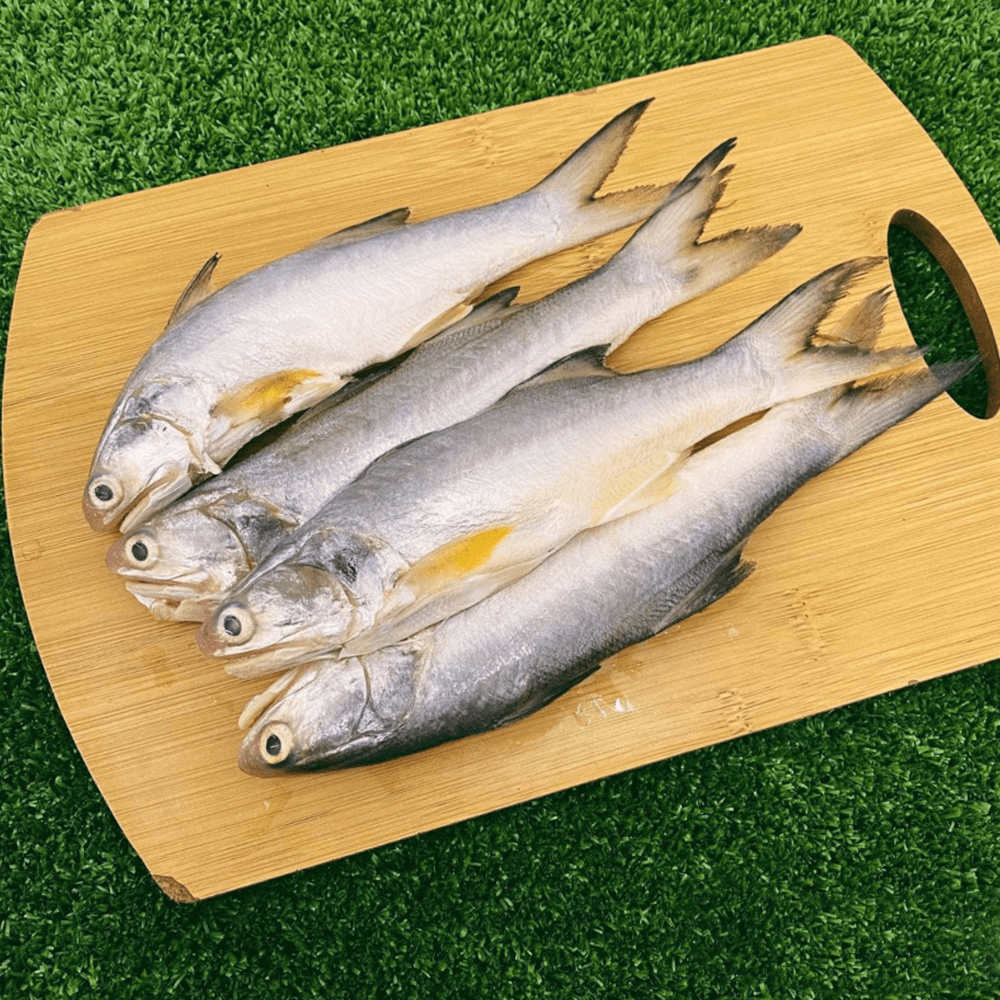 Threadfin Salmon Meat