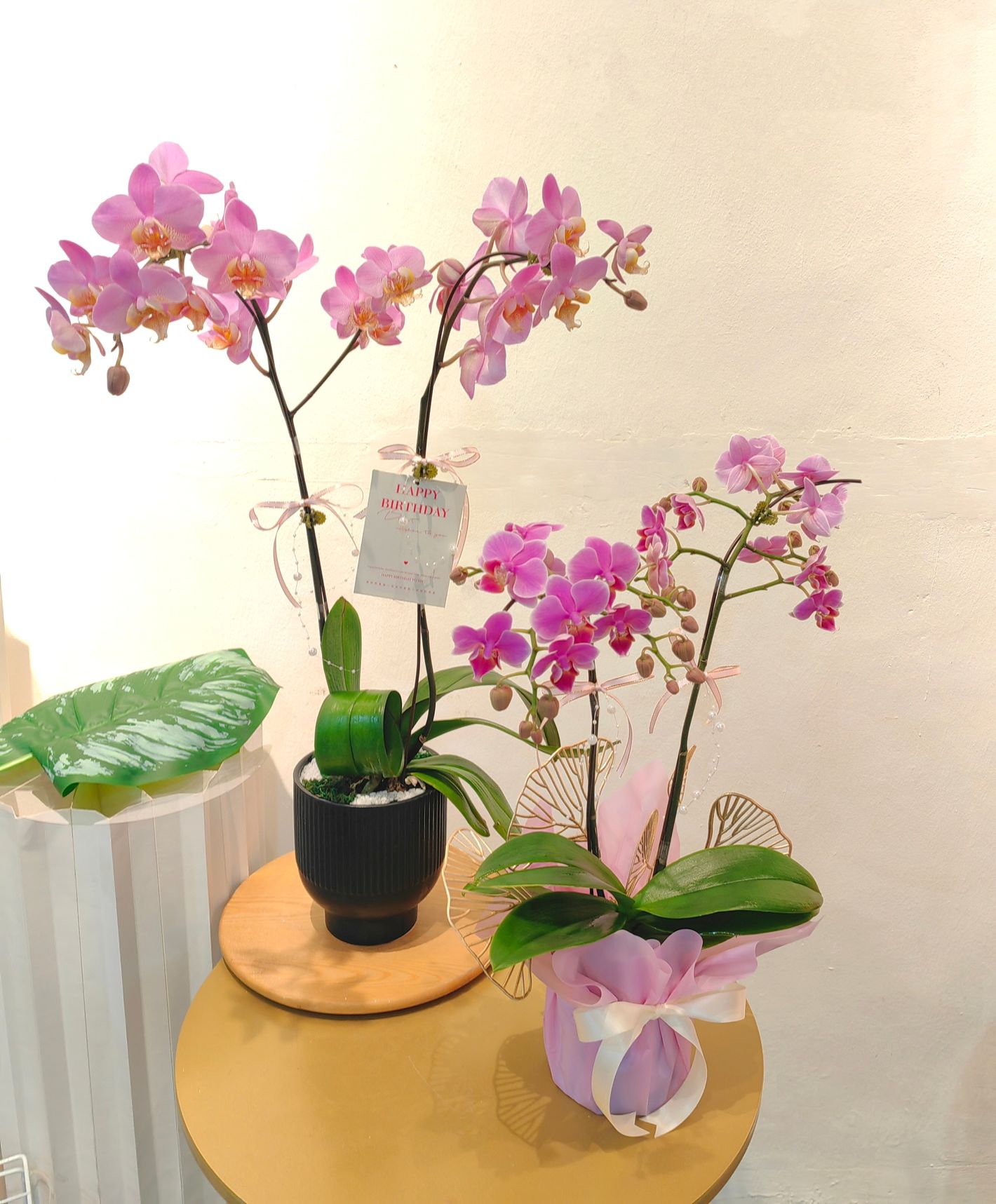 Blooom Floral (Johor Florist)
