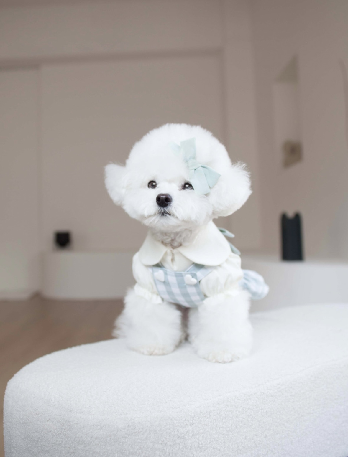 D70 | 可愛格子背心圍裙 XS~XL – Apuguima優質寵物用品專門店