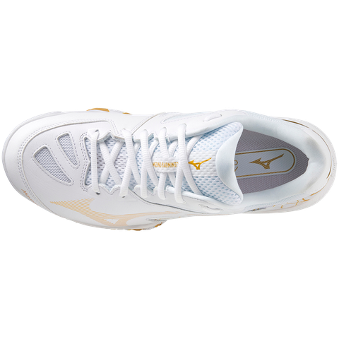 MIZUNO Wave Claw Pro Badminton Shoes – Rexcool Sports